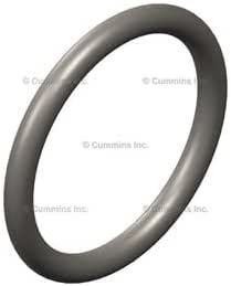 Amazon.com: Cummins Engine O Ring Seal 3678606 : Automotive