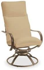 Amazon.com : Homecrest Holly Hill High Back Sling Swivel Rocker : Home ...