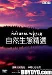 The Bbc Natural World Collection: Amazon.co.uk: Nil: DVD & Blu-ray