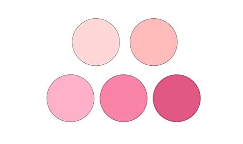 Amazon.com: 100 Pink Circle Die Cuts: Pink Round Cutouts Paper Circles ...