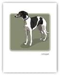 Amazon.com : Paper Russells Grrreen Single Note Card - Whippet Standing ...