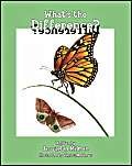 Amazon.com: What's The Difference?: 9781412041089: Milman, Jacquelyn ...