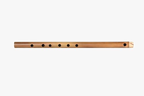 Kannan Musical Instruments Light Music Side Flute, 6 Holes (scale 1 ...
