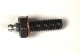OEM Screw With Grease Fitting : Amazon.co.uk: Automotive