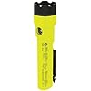 Nightstick XPP-5422GMX X-Series Intrinsically Safe Dual-Light ...