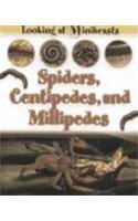 Spiders, Centipedes, and Millipedes (Looking at Minibeasts): Amazon.co ...