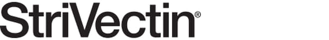 Amazon.com: StriVectin Anti Wrinkle Peptide PlumpSerum, 1 oz : Beauty ...