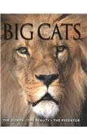 Big Cats: Tomsett, Alice: 9781405472234: Amazon.com: Books