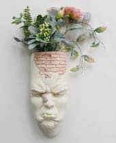 Amazon.com : SIULAS Wall Planters for Indoor Outdoor Plants : Patio ...