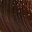 Amazon.com : 3NN Dark Intense Brown Permanent Liquid Hair Color ...