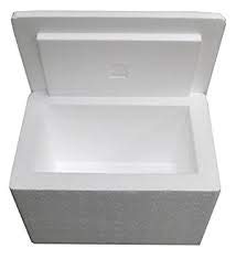 Thermocol Storage Box (Small Size) - Plastic, White : Amazon.in: Home ...