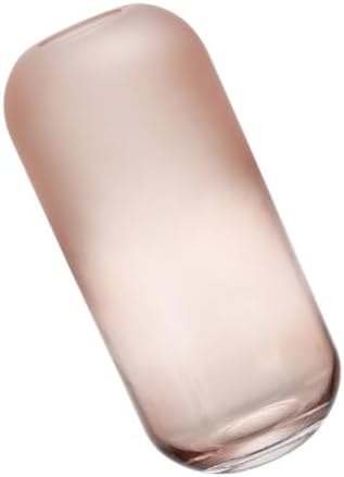 PRETYZOOM Gradient Sandblasted Glass Vase Home Decor Dining Table Plant ...