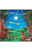 A Bright New Star (Story Book) : Ranson, Erin, Crisp, Dan: Amazon.in: Books