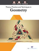 Theory, Practice And Techniques In Geometry : N/A,: Amazon.in: Books