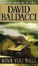 Wish You Well (Paragon Softcover Large Print Books): David Baldacci ...