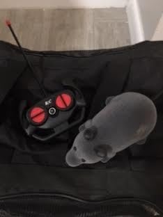 Amazon.com: Giveme5 Remote Control Fake Rat Realistic Mouse Cat Toy ...