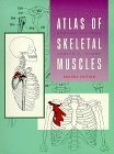 Atlas of the Skeletal Muscles: Amazon.co.uk: Stone, Robert J., Stone ...