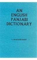 English-Punjabi Dictionary: Punjabi University: 9788170000716: Amazon ...