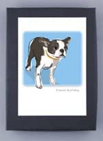 Amazon.com: Paper Russells PAGBC492 Grrreen Boxed 6 Note Cards - Boston ...