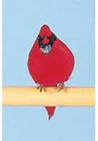 Amazon.com: 3 1/2" Fat Red Cardinal - 1pc : Everything Else