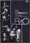 Amazon.com: The Collection [DVD] : Movies & TV