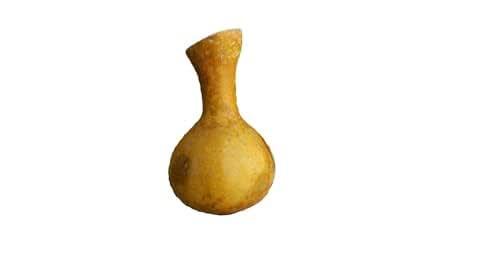 Amazon.com: Natural Hawaiian Hula Ipu Gourd, Hula dancer Instruments ...