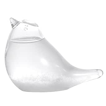 Amazon.com: Alipis Storm Glass Weather Bird Shape Decoration Hangable ...