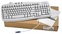 Microsoft Basic Keyboard - Keyboard - PS/2 - OEM (pack of 3) : Amazon ...