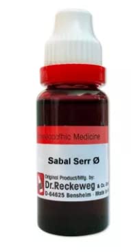 Buy Dr.R/W Sabal Serrulata Q - 20 ml Online at Low Prices in India ...