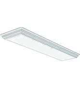Lithonia Lighting DSB48 48-Inch Square Basket 2 Bulb Replacement ...