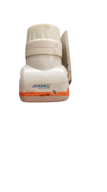 Organic Vermicompost Fertilizer Manure For Plants (Jivagro 50g (Pack of ...