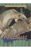 Anteaters (Animals of the Rain Forest): Dollar, Sam: 9780739835524 ...