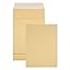 Netuno 20 Brown Gusset envelopes B4 250 x 353 mm 9.8 x 13.9 in 130gsm ...