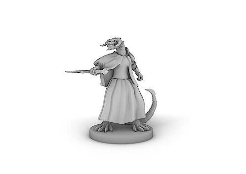 Amazon.com: Rezmir Tabletop DND Gaming Miniature : Toys & Games
