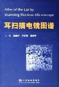 Atlas of the ear by scanning electron microscope | Amazon.com.br