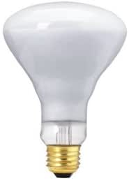 Amazon.com: WP 50WBR30 50W FLD Bulb : Automotive