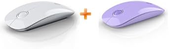 Amazon.com: RAPIQUE Bluetooth Wireless Mouse - (BT5.1+USB) Slim Dual ...