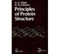 Principles of Protein Structure: G. E. Schulz: 9788181280817: Amazon ...