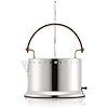 Amazon.com: Bodum 34oz Ottoni Electric Water Kettle, Polished Stainless ...