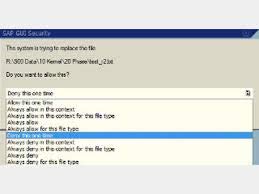 The Official Synactive GUIxt Starter Kit for Enjoy SAP : Chintapalli ...