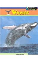Whales (Sea Creatures): Laskey, Elizabeth: 9781403435675: Amazon.com: Books