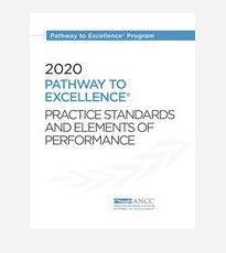 2020 Pathway to Excellence® Practice Standards and Elements of ...