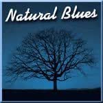 Amazon.com: Natural Blues CD : Musical Instruments