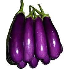 Hybrid Purple Brinjal/Baingan seeds for Planting | 330 seeds per pack ...