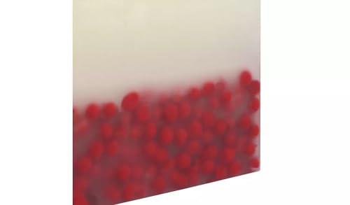 Large Inclusion Candle with Organic Red Berries Encapsulated Into The ...