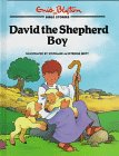 David the Shepherd Boy (Bible Stories): Blyton, Enid, Britt, Stephanie ...
