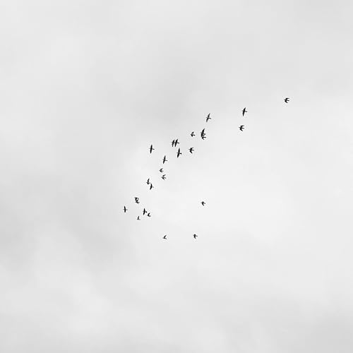 Amazon Music UnlimitedでÉmaのFlight 64を