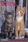 Cal 99 Kittens: unknown author: 9780763112110: Amazon.com: Books