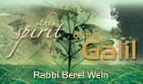 The Spirit of the Galil (S318): Rabbi Berel Wein: Amazon.com: Books