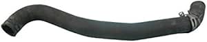 Amazon.com: AUTO PARTS LAB Upper Radiator Hose 7L34-8B274-AA 4.6L 5.4L ...
